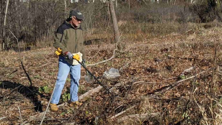 What's the Best Metal Detector For Finding Metal in Logs? - Metal ...