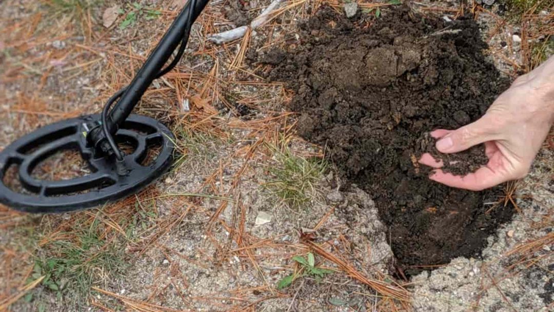 Can Metal Detectors Find Bullets? Let’s Find Out - Metal Detecting Tips