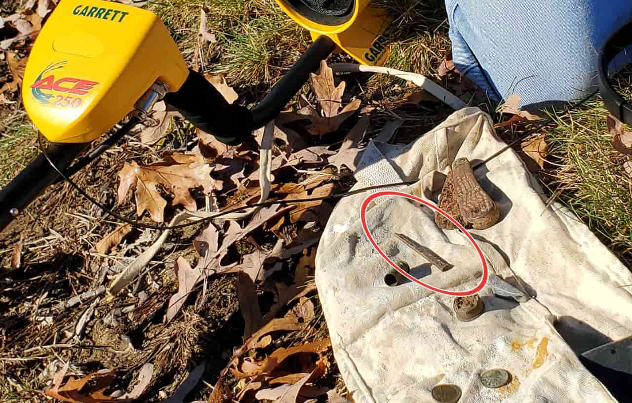 Dating Nails? Your Metal Detecting Nail Dating Guide is Here - Metal ...