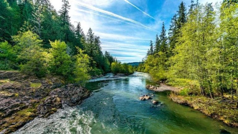 15 Places to Find Lost Treasure in Oregon (Maps and More) - Metal ...