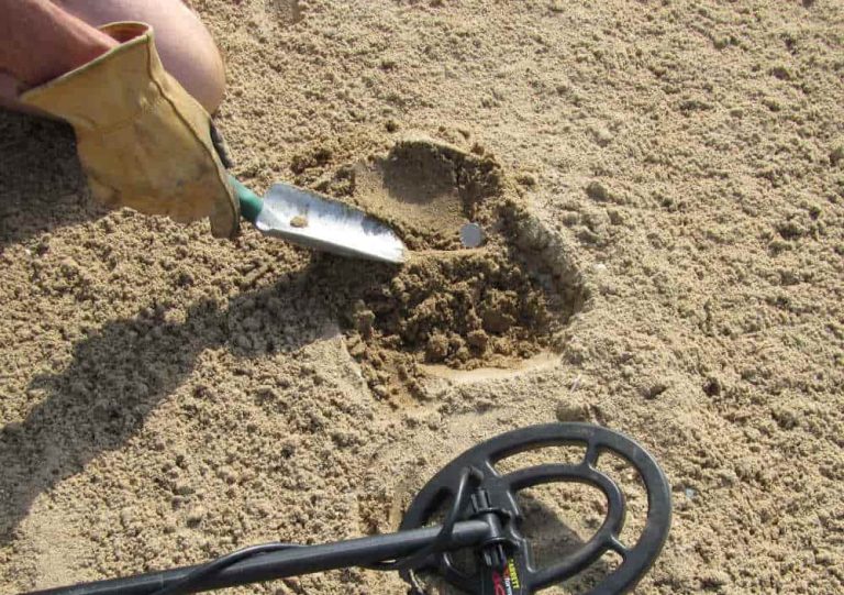 7 Best Beaches to Metal Detect in Washington (with Maps and More ...