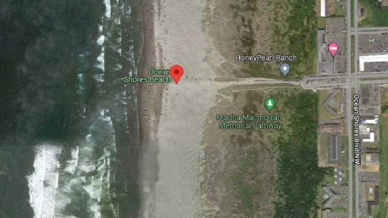 7 Best Beaches to Metal Detect in Washington (with Maps and More ...