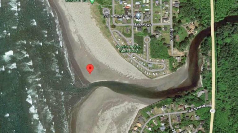 7 Best Beaches to Metal Detect in Washington (with Maps and More ...