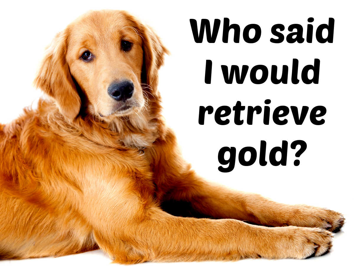 27 Metal Detecting Jokes (A Treasure Trove of Laughter) - Metal ...