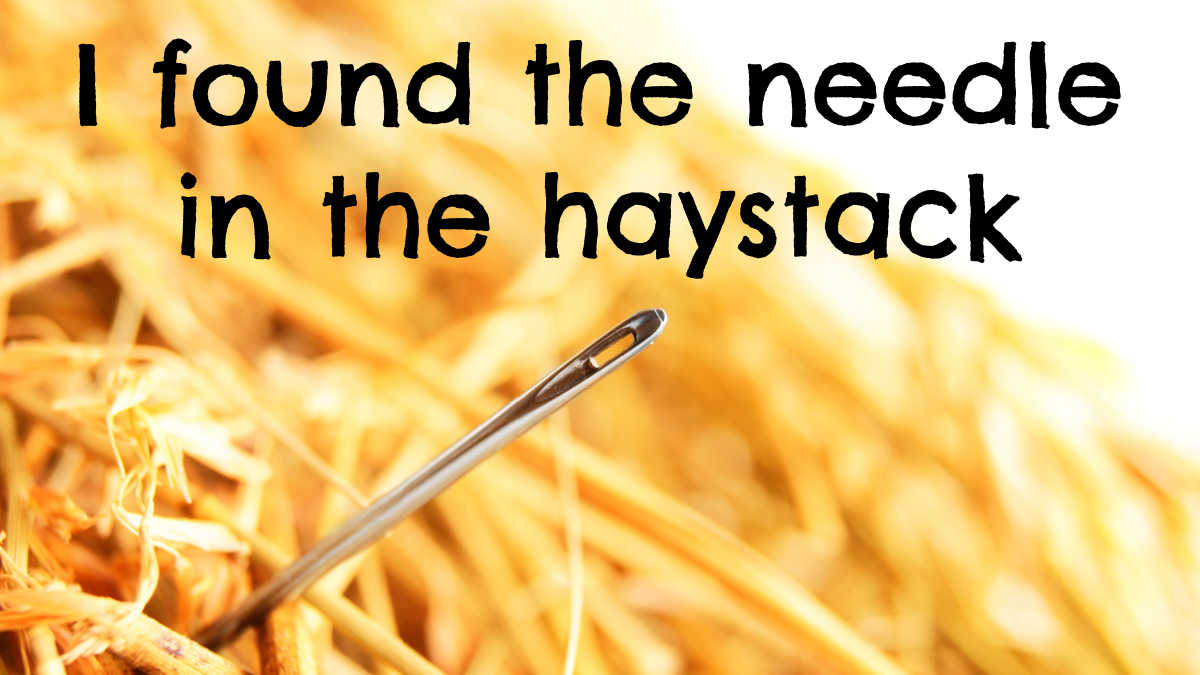 27 Metal Detecting Jokes (A Treasure Trove of Laughter) - Metal Detecting Tips