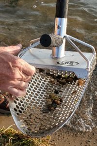 The Best Sand Scoops for Metal Detecting (Beach Sand Sifting) - Metal ...