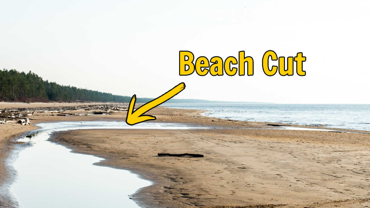 27 Tips for Metal Detecting on the Beach - Metal Detecting Tips
