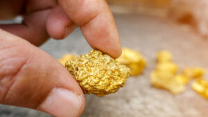 The Ultimate Guide to Gold Prospecting with a Metal Detector - Metal ...